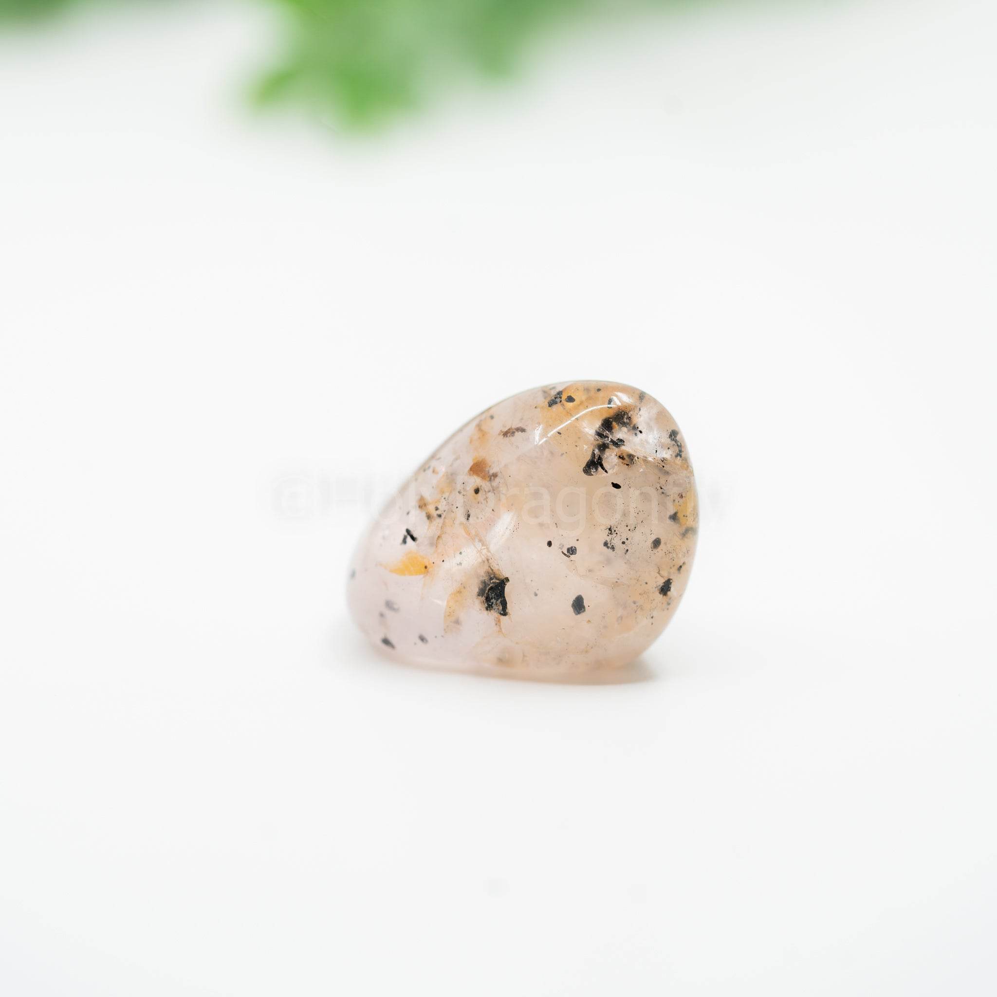 Amfibolinis Kalnų krištolas - Holy Dragonfly