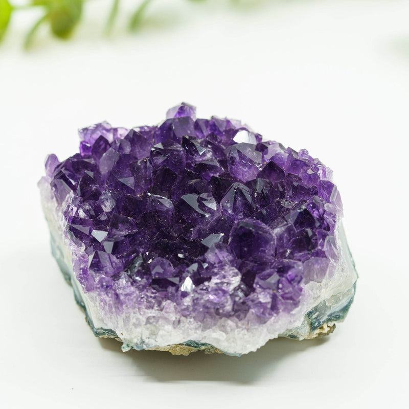 Magiška Ametisto kristalo Drūzė Urugvajus - Holy Dragonfly