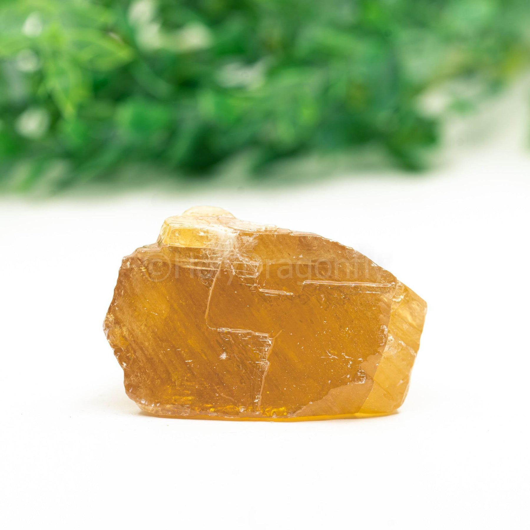 Geltonas/Auksinis Kalcitas Magiškas Kristalas - Holy Dragonfly