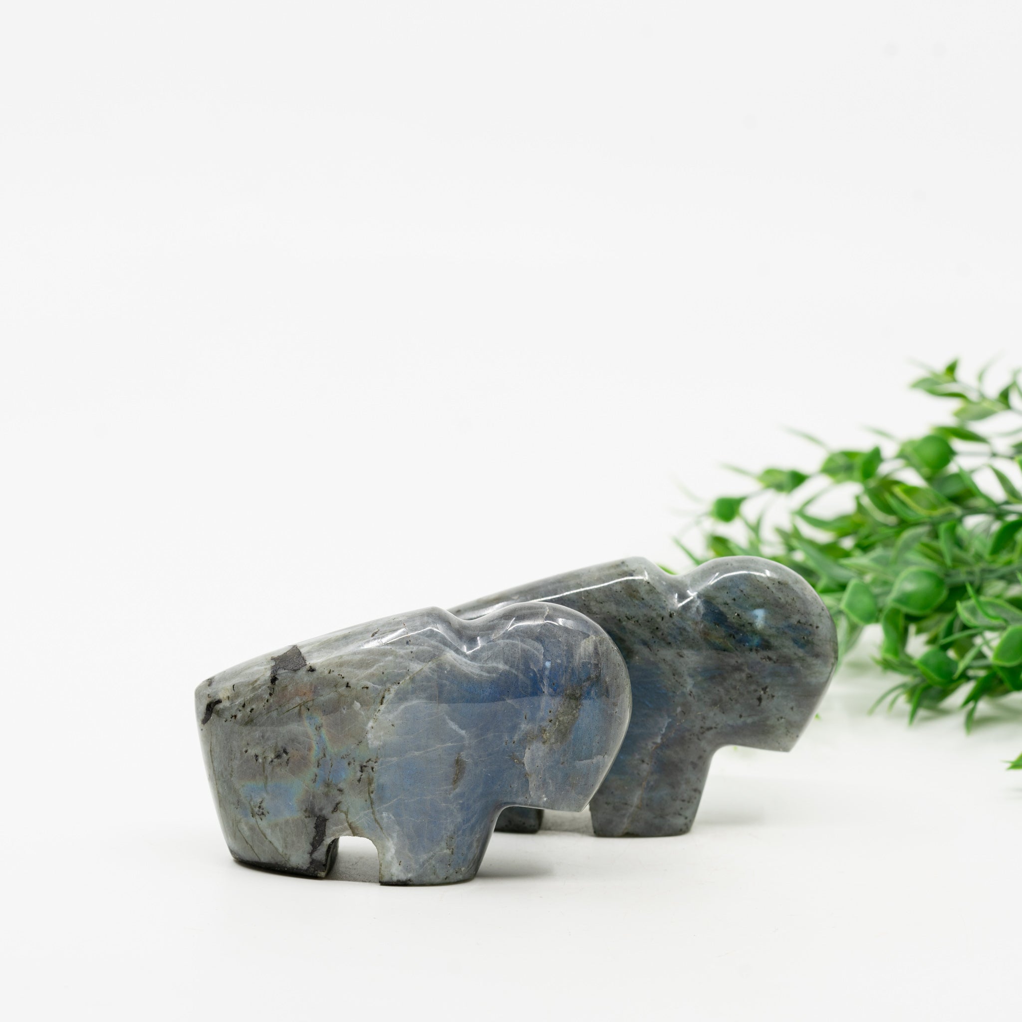 Labradorito "Bizonas" figurėlė - Holy Dragonfly