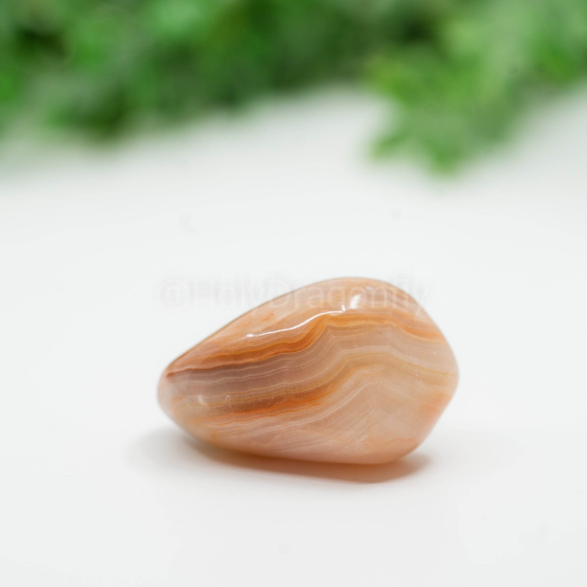 Marmurinis Oniksas Magiškas "Drąsos" Kristalas - Holy Dragonfly