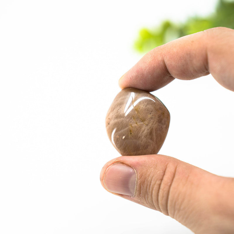 Magiškas kristalas Mėnulio akmuo - Holy Dragonfly