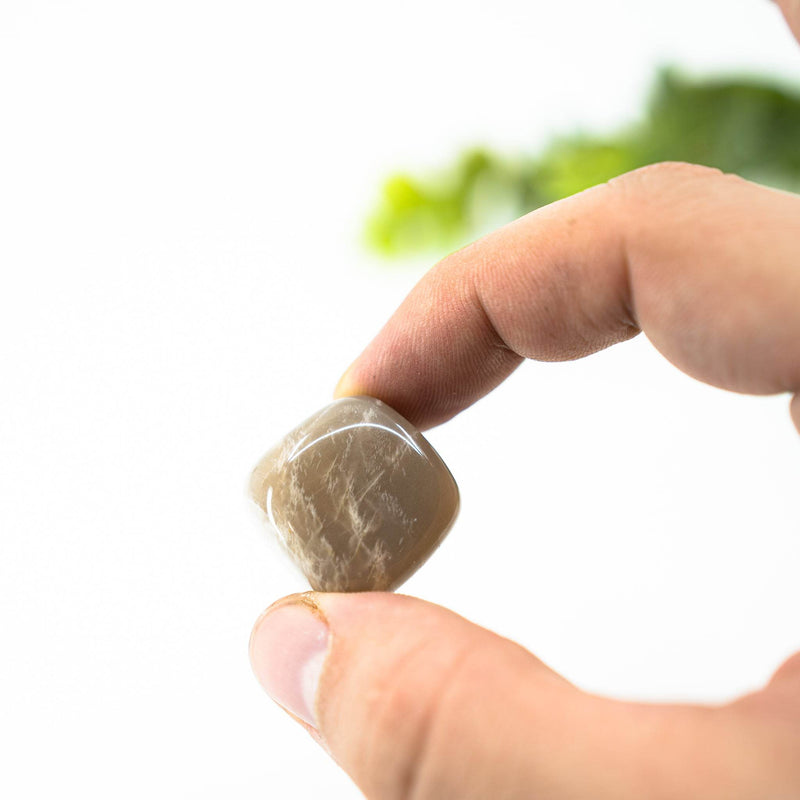 Magiškas kristalas Mėnulio akmuo - Holy Dragonfly