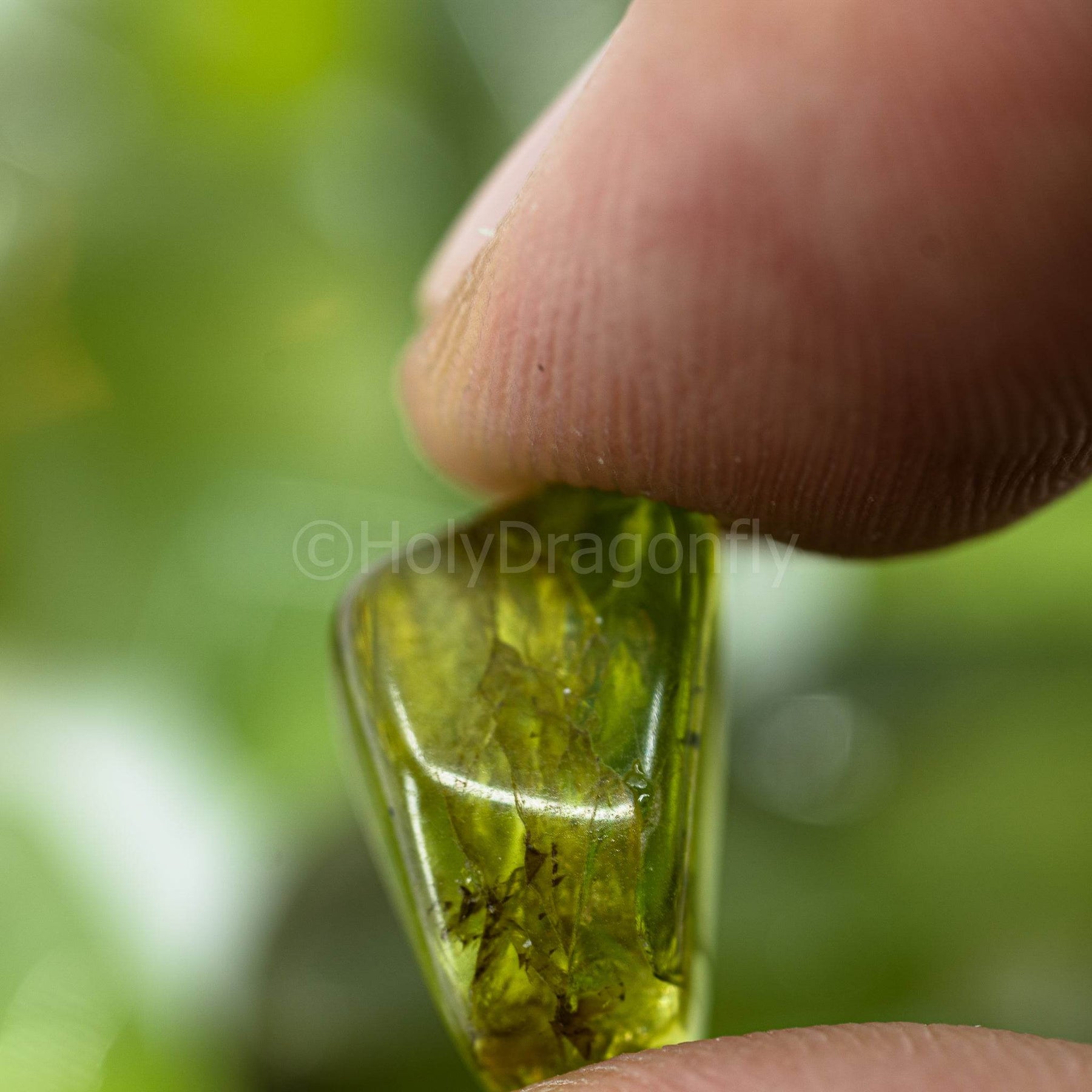 Peridotas/Chrizolitas Magiškas Pinigų Kristalas - Holy Dragonfly