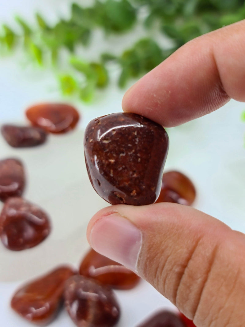 Raudonas Kalcitas Magiškas Kristalas – Holy Dragonfly