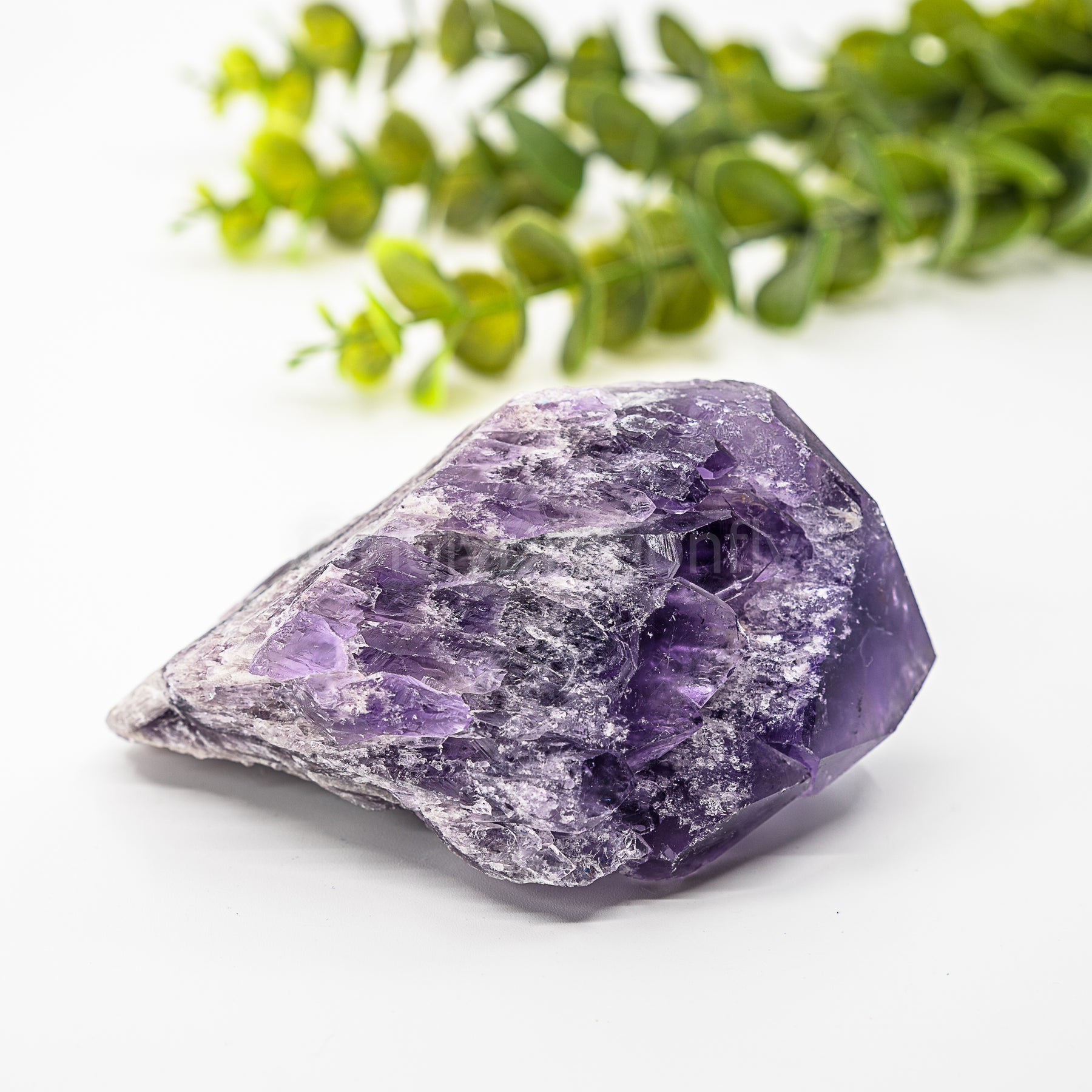 Ametistas Bahia Kristalas "Drakono Dantys" - Holy Dragonfly