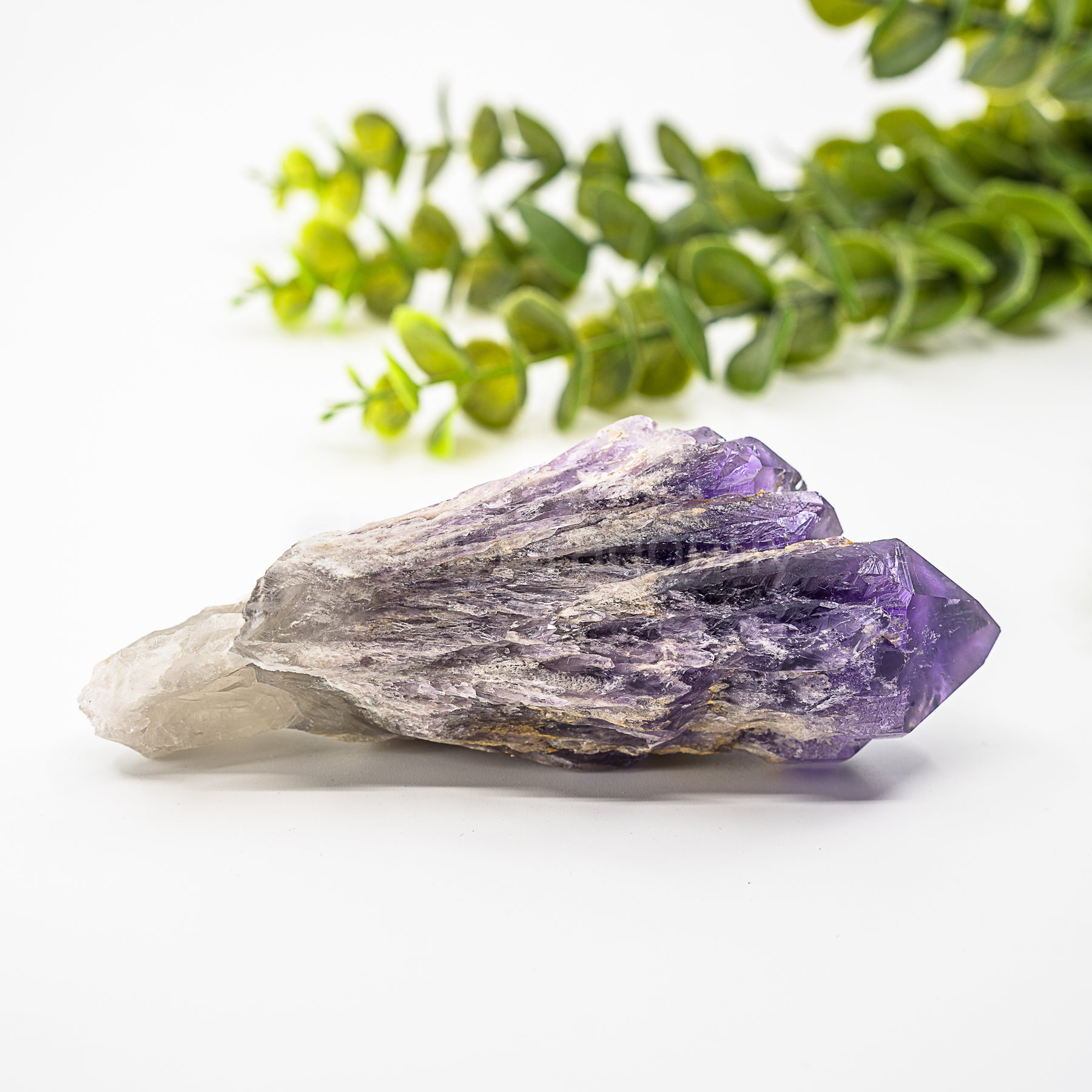 Ametistas Bahia Kristalas "Drakono Dantys" - Holy Dragonfly