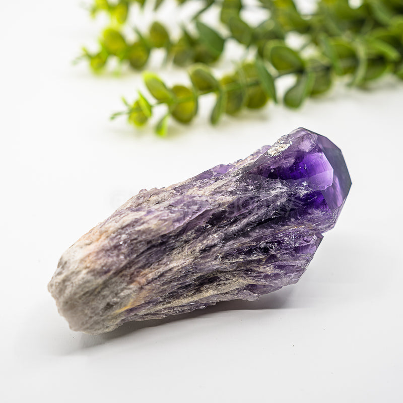 Ametistas Bahia Kristalas "Drakono Dantys" - Holy Dragonfly