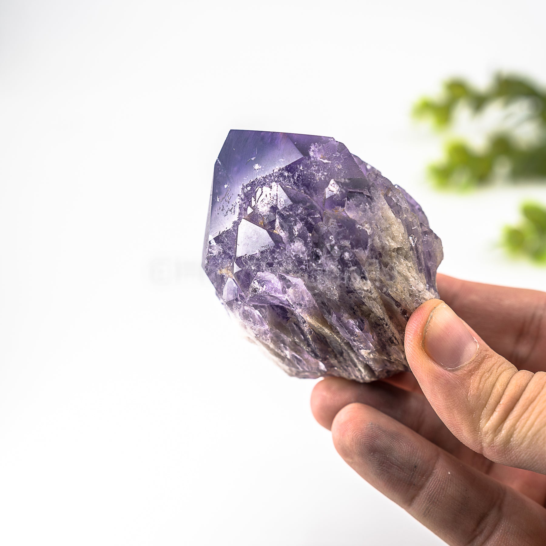 Ametistas Bahia Kristalas "Drakono Dantys" - Holy Dragonfly