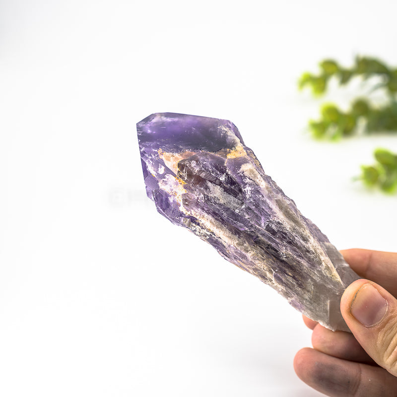 Ametistas Bahia Kristalas "Drakono Dantys" - Holy Dragonfly