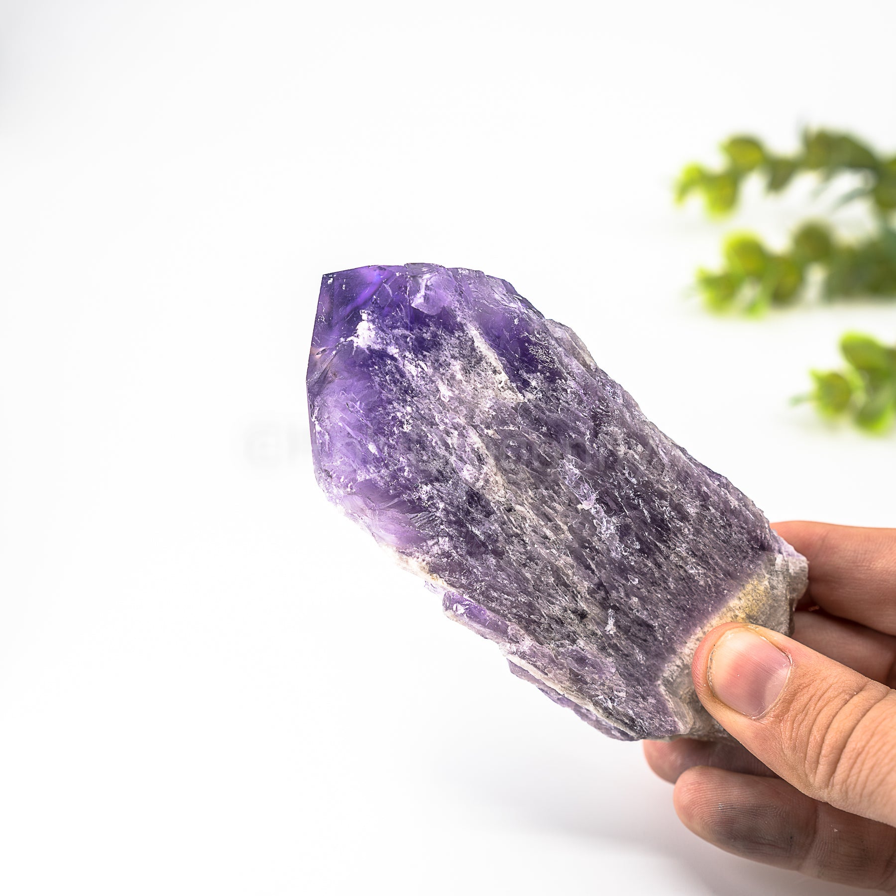 Ametistas Bahia Kristalas "Drakono Dantys" - Holy Dragonfly