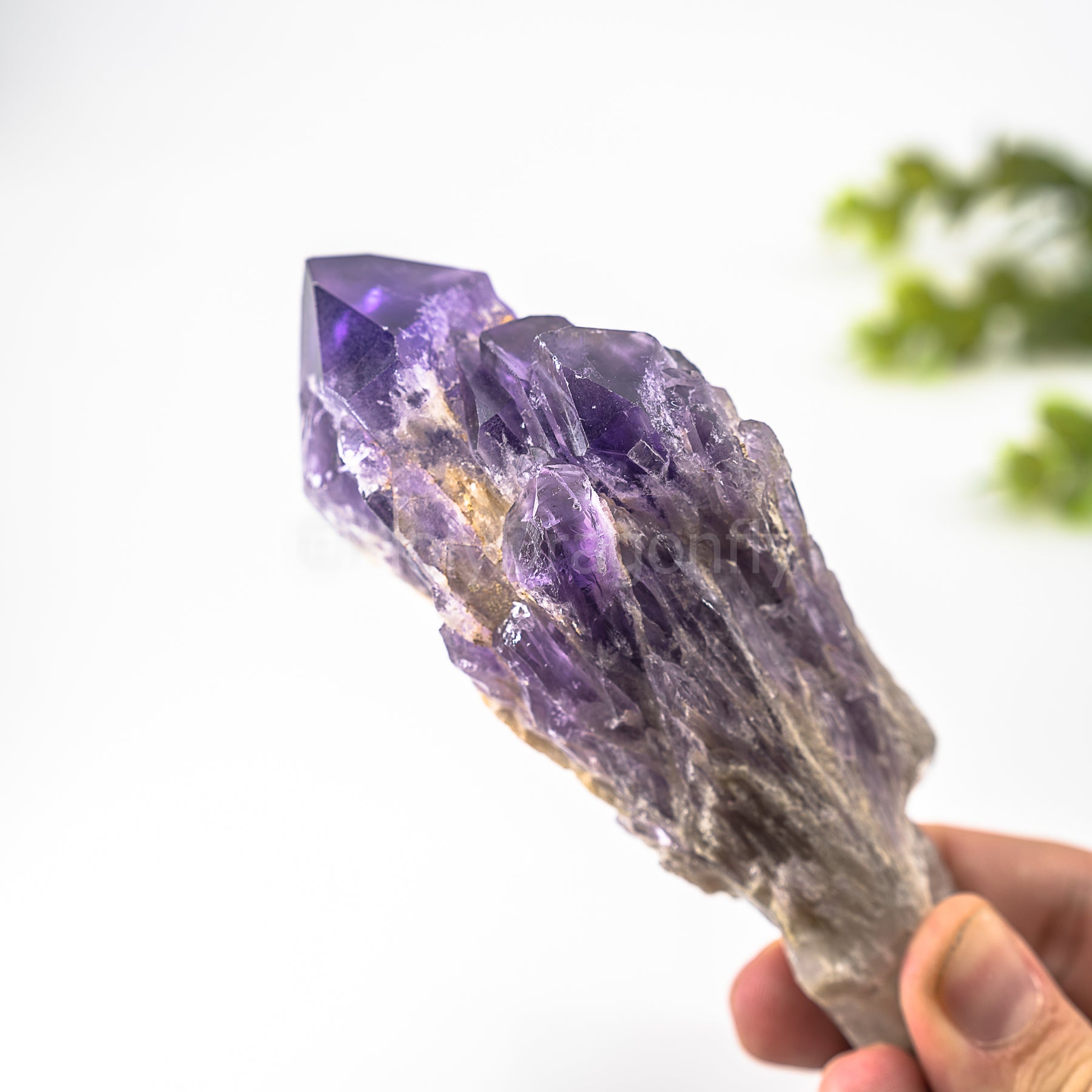 Ametistas Bahia Kristalas "Drakono Dantys" - Holy Dragonfly