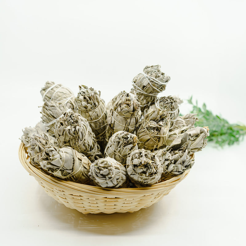 Magiškas Baltasis Šalavijas "Deglas" - White Sage - Holy Dragonfly