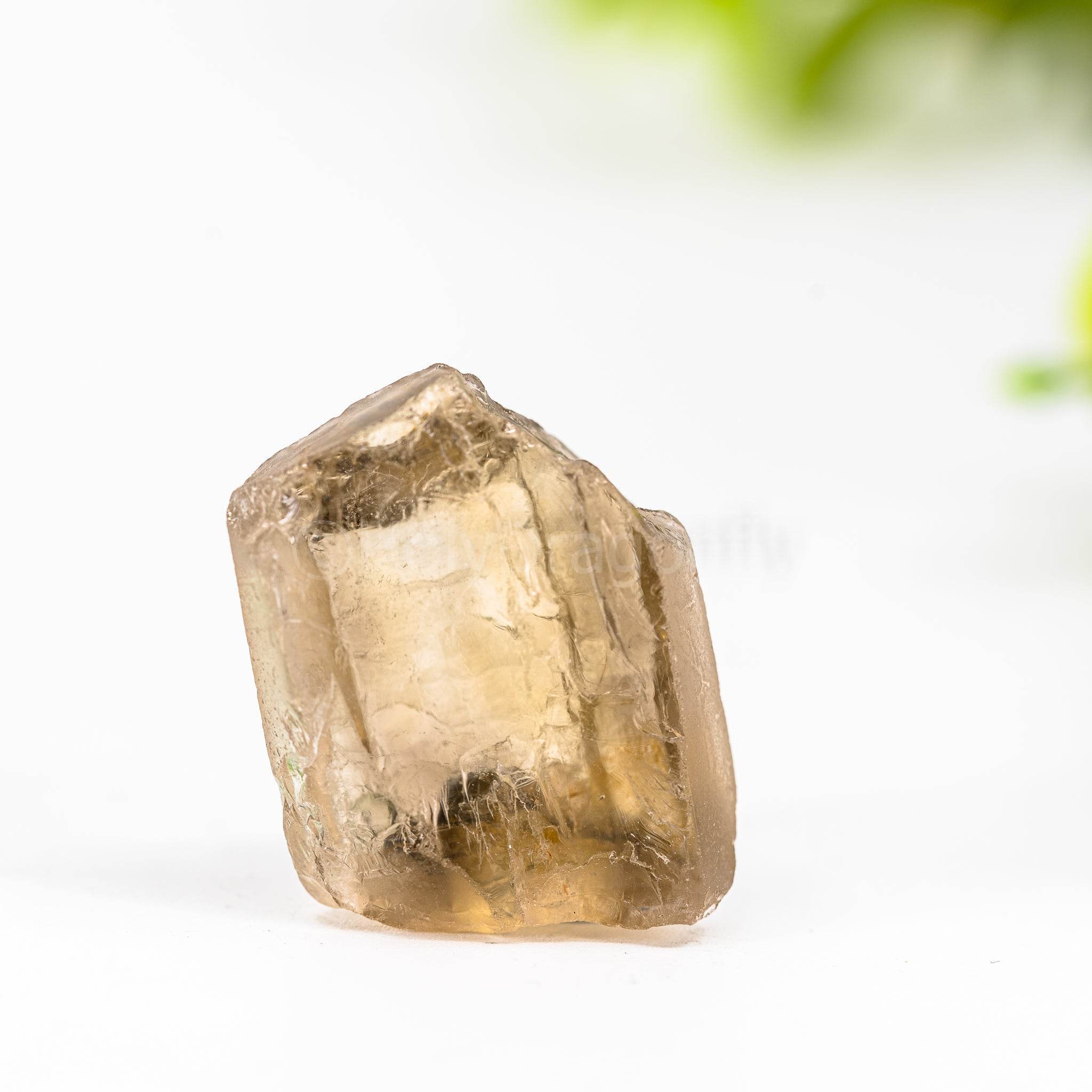 Natūralus Magiškas Citrino Mineralas - Holy Dragonfly