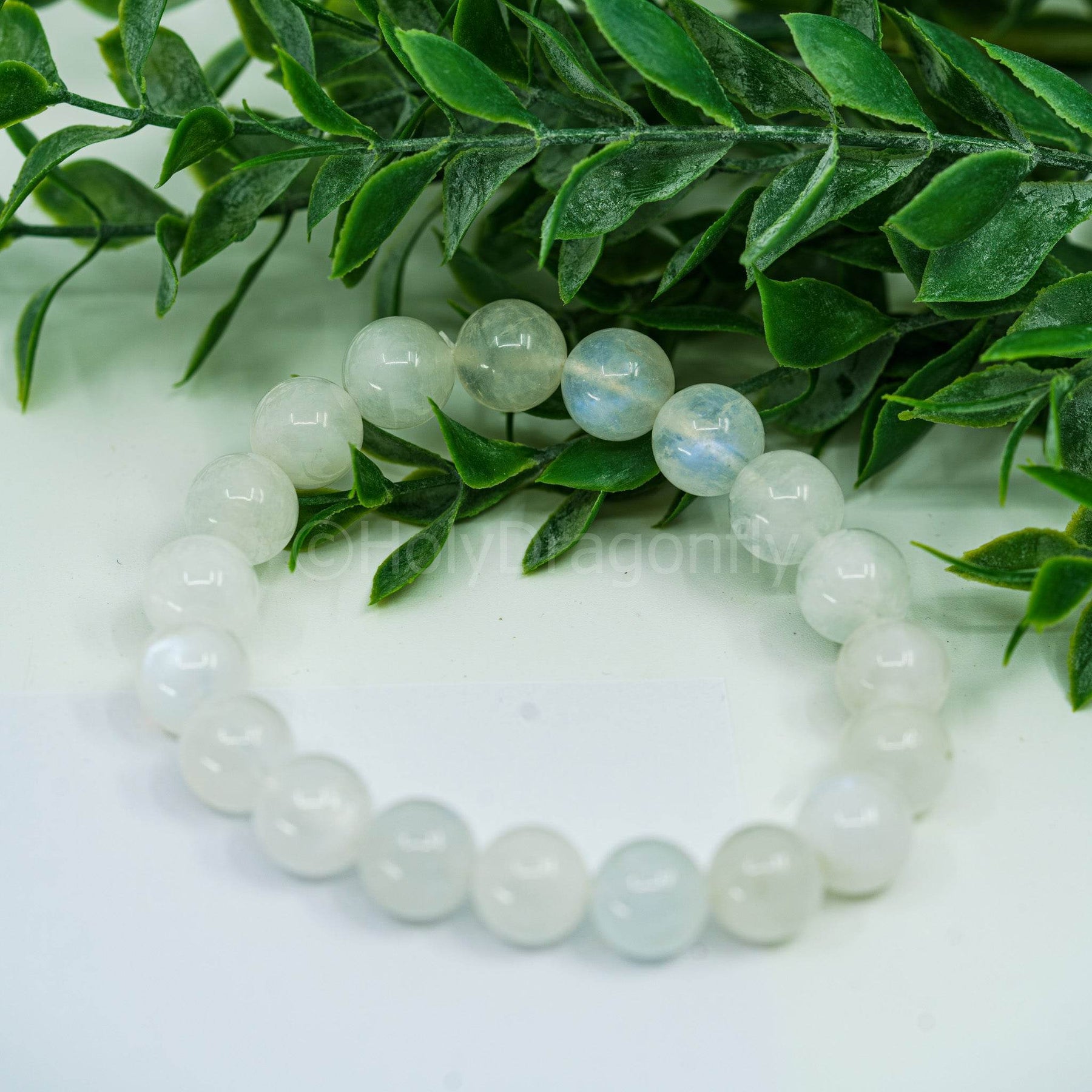 Mėnulio Akmens Apyrankė AA "10 mm" - Holy Dragonfly