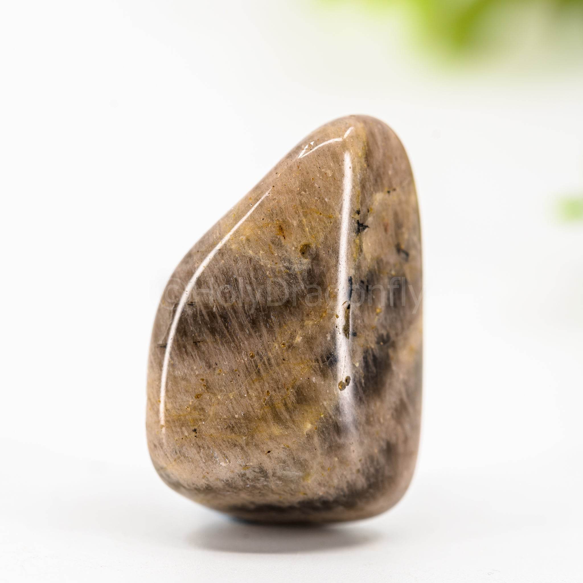 Magiškas Juodojo Mėnulio akmuo - Holy Dragonfly